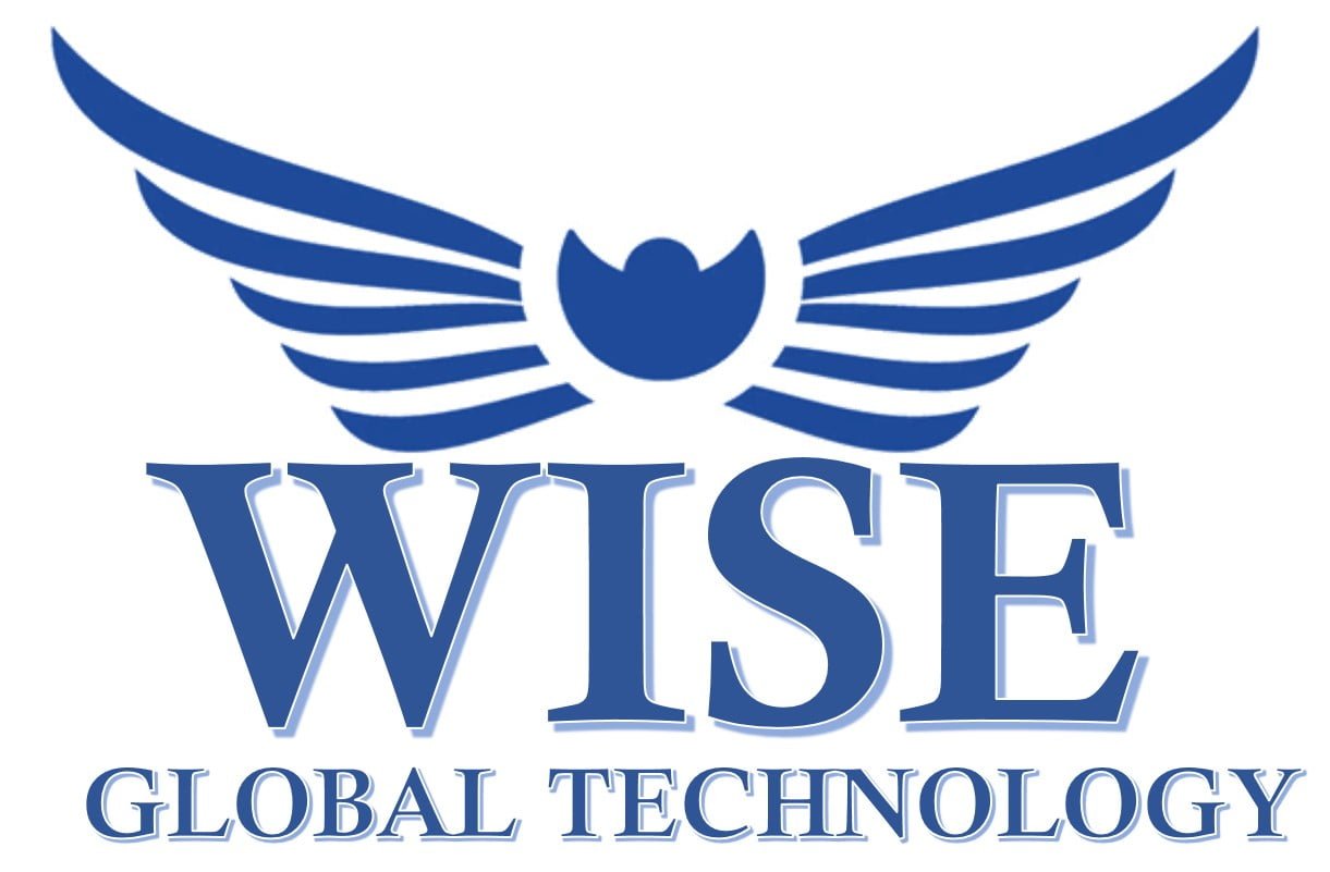 About – Wise Global Technology